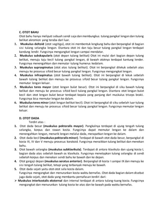 Struktur otot tubuh | PDF