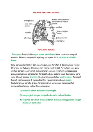 Struktur paru | PDF