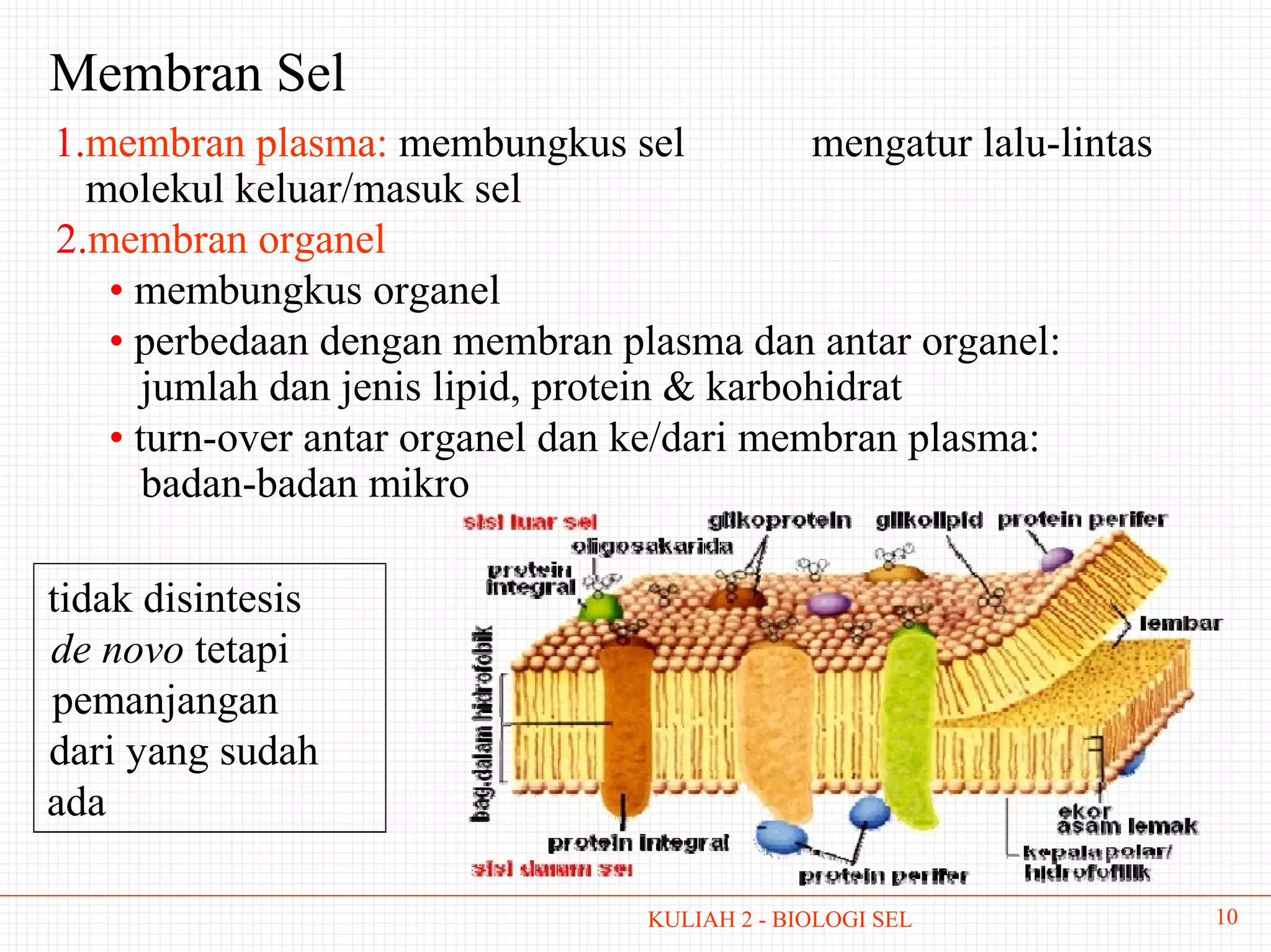 Struktur sel | PPT