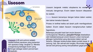 1. Cell Structures and their function.pptx