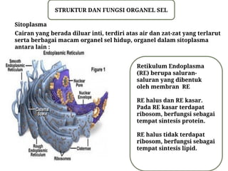 STRUKTUR SEL.ppt untuk mata kuliah biologi dasar | PPT