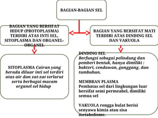 STRUKTUR SEL.ppt untuk mata kuliah biologi dasar | PPT