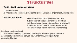 BabStruktur Sel tumbuhan biologi SMA.pdf