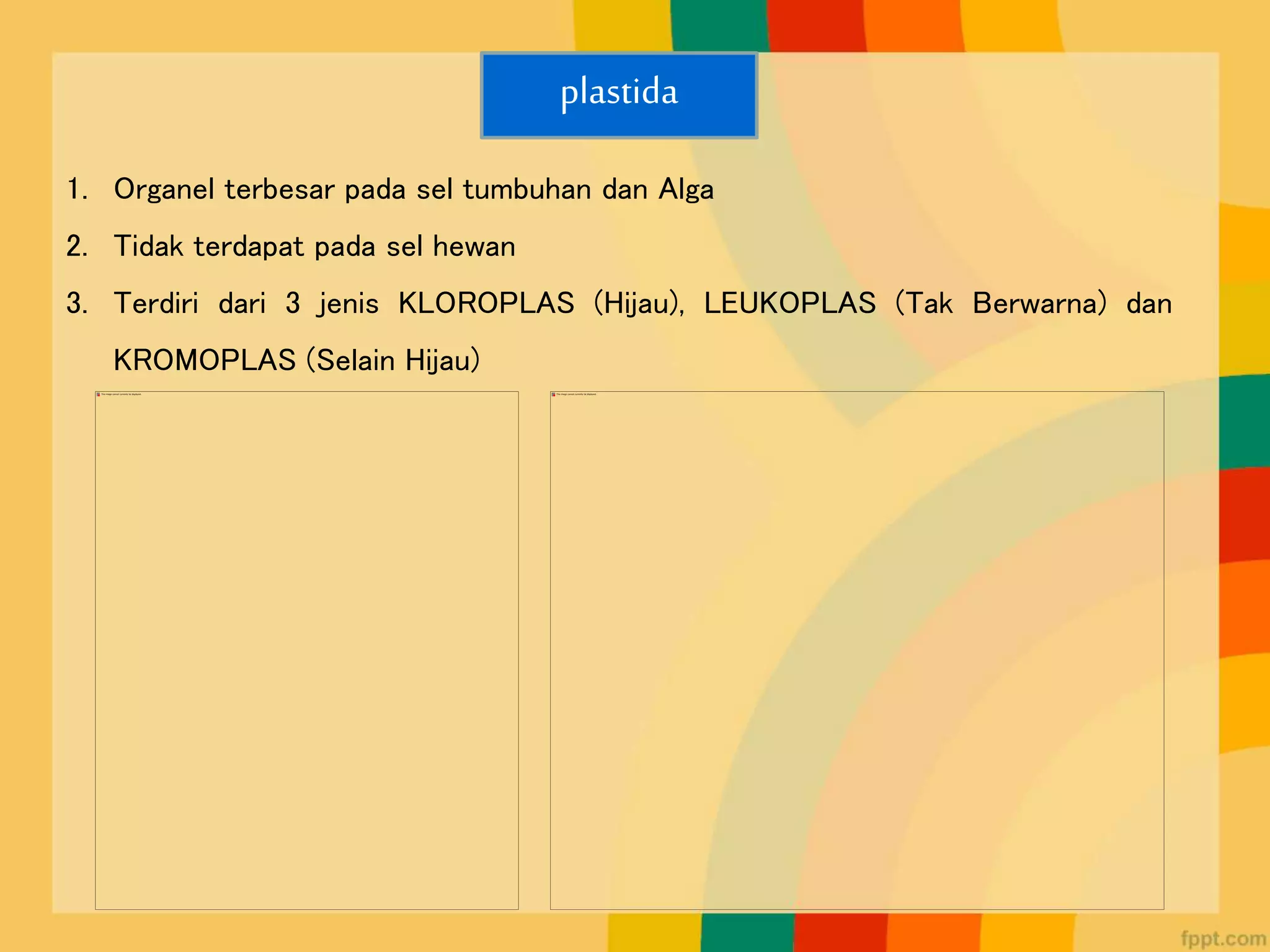 STRUKTUR SEL - Copy.pptx