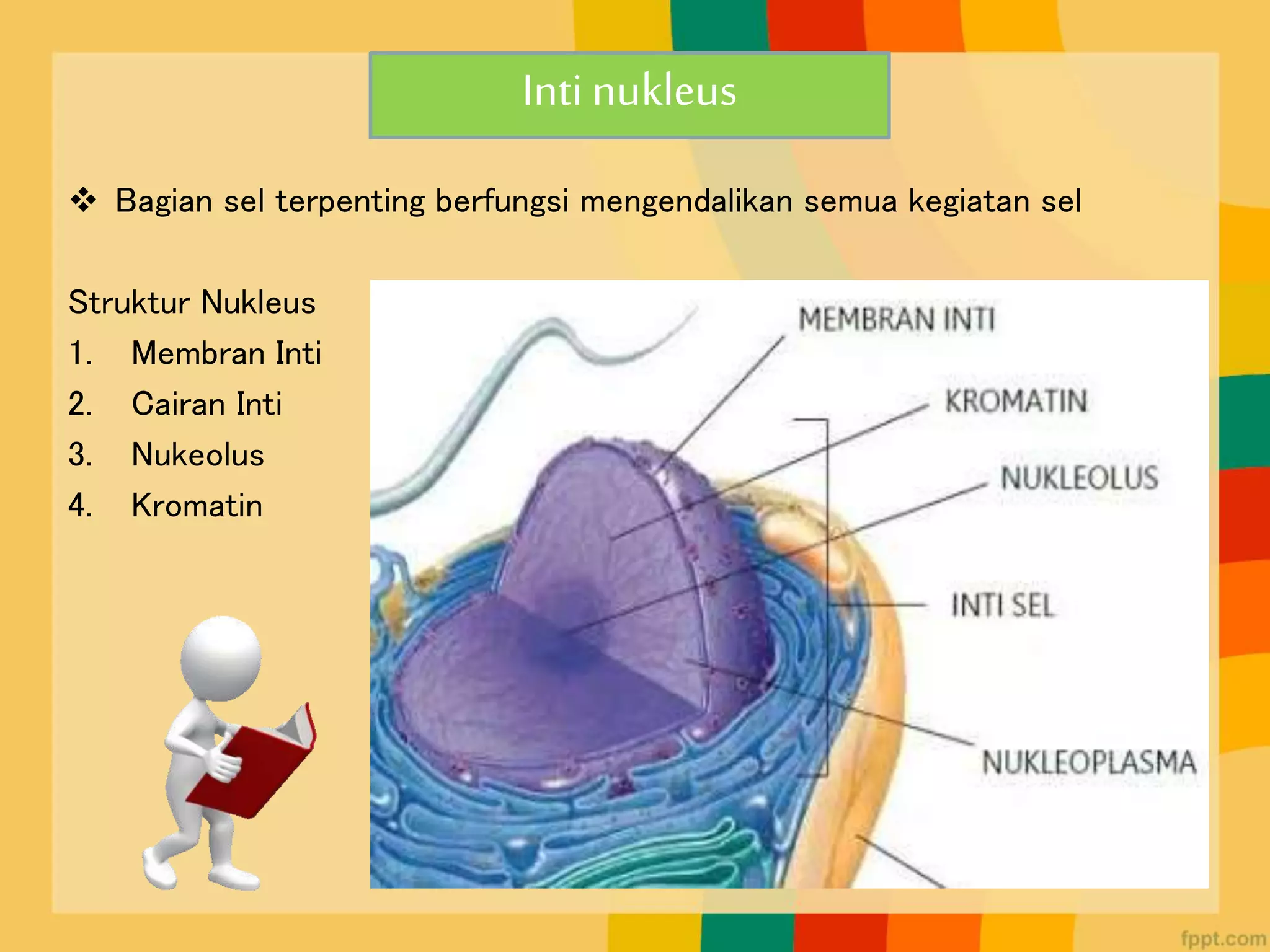 STRUKTUR SEL - Copy.pptx