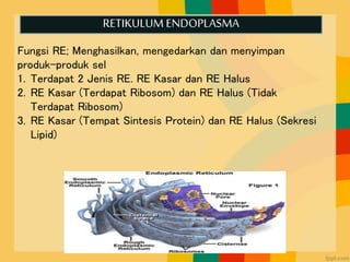 STRUKTUR SEL - Copy.pptx