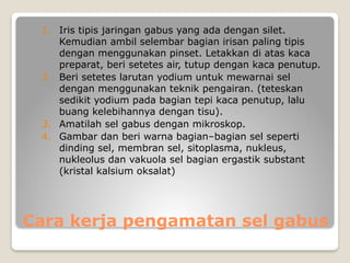 presentasi Struktur Sel dan fungsinya 2.pptx