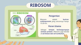 Struktur Sel & Fungsinya II BIOLOGI.pptx