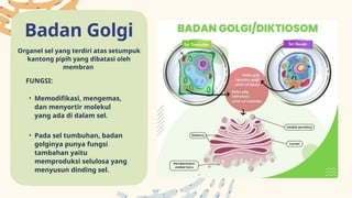 Struktur Sel & Fungsinya II BIOLOGI.pptx