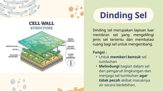 Struktur Sel & Fungsinya II BIOLOGI.pptx