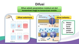 STRUKTUR SEL_KLS 11.pptxxxxxxxxxxxxxxxxxc | PPT