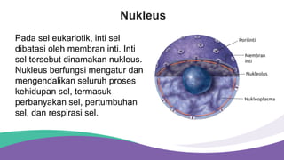 STRUKTUR SEL_KLS 11.pptxxxxxxxxxxxxxxxxxc | PPT