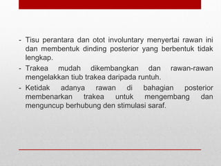 STRUKTUR SISTEM RESPIRATORI | PPT