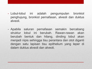 STRUKTUR SISTEM RESPIRATORI | PPT