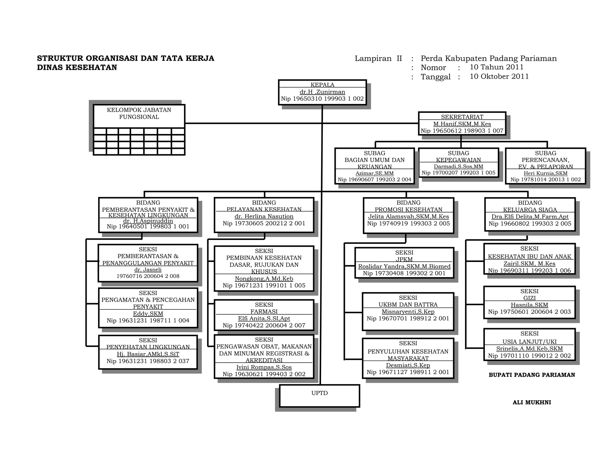 Struktur sotk dinas kesehatan | PDF