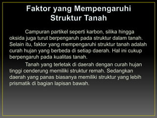 Struktur tanah.pptx