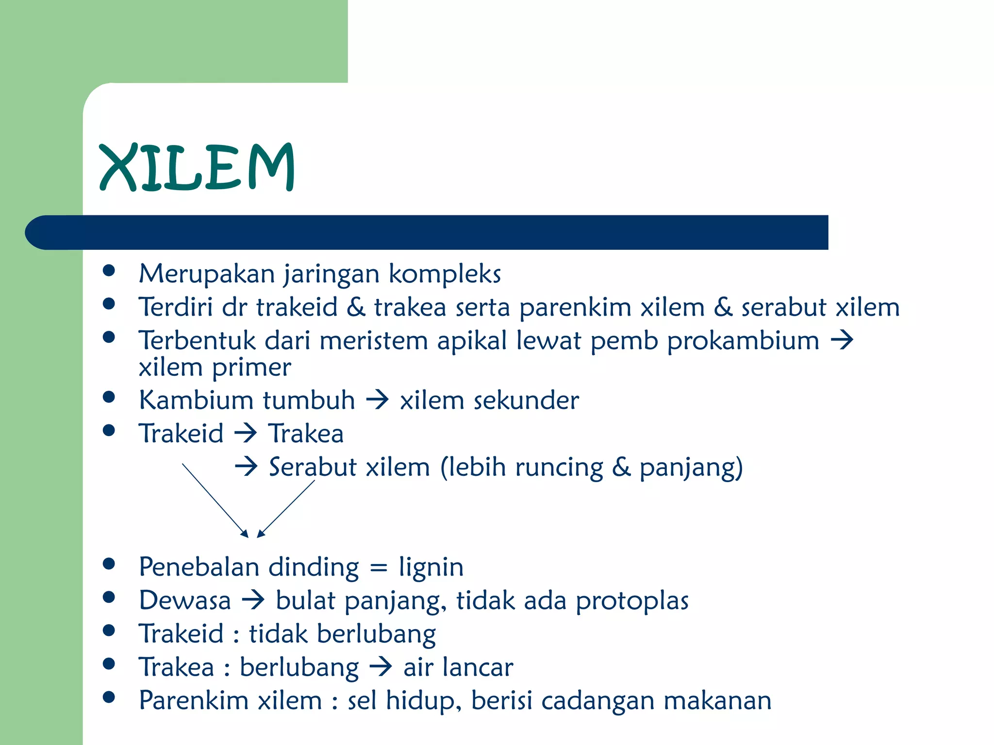 Struktur tumbuhan | PPT