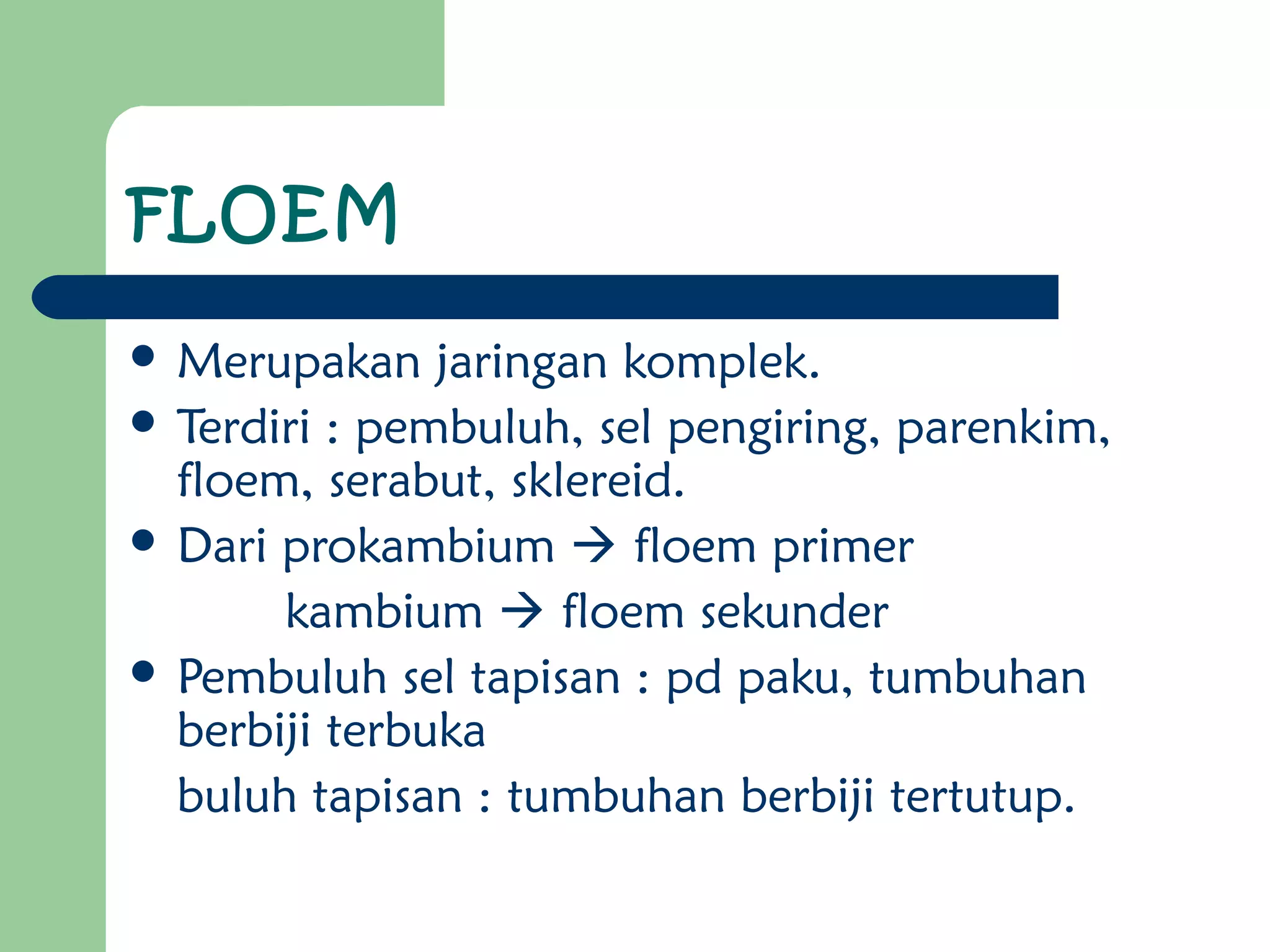 Struktur tumbuhan | PPT