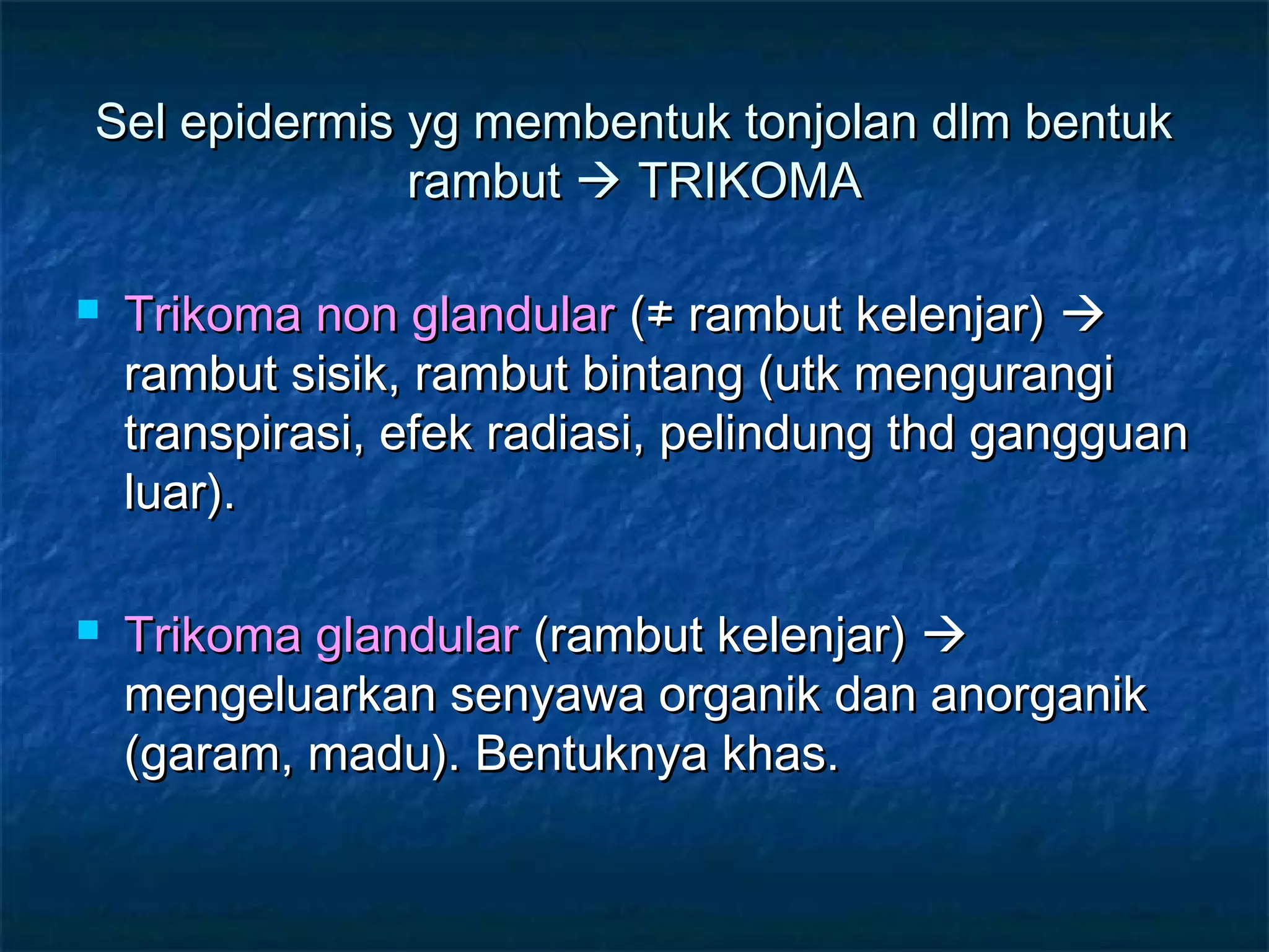Struktur tumbuhan | PPT