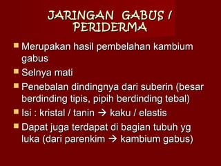 Struktur tumbuhan | PPT