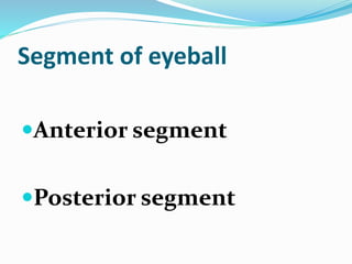Strutcture of eye | PPT