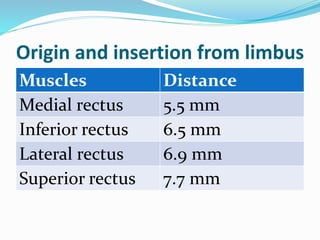 Strutcture of eye | PPT