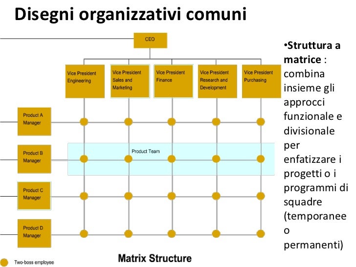 Strutture Organizzative – Struttura semplice, Burocratica, Matrice