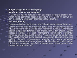 ITP UNS SEMESTER 2 Strutur sel | PPT