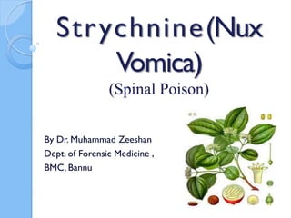 Strychinine poisoning (Nux vomica) / spinal poison | PDF