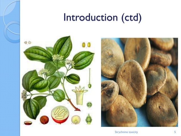 Strychinine poisoning (Nux vomica) / spinal poison | PDF | Brain and ...
