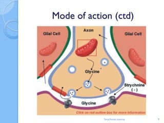 Strychinine poisoning (Nux vomica) / spinal poison | PDF