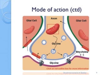 Strychinine poisoning (Nux vomica) / Rodenticide/ tetanus/ spinal ...