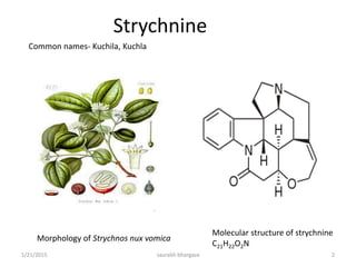 Strychnine nux vomica | PPTX | Blood Disorders | Diseases and Conditions