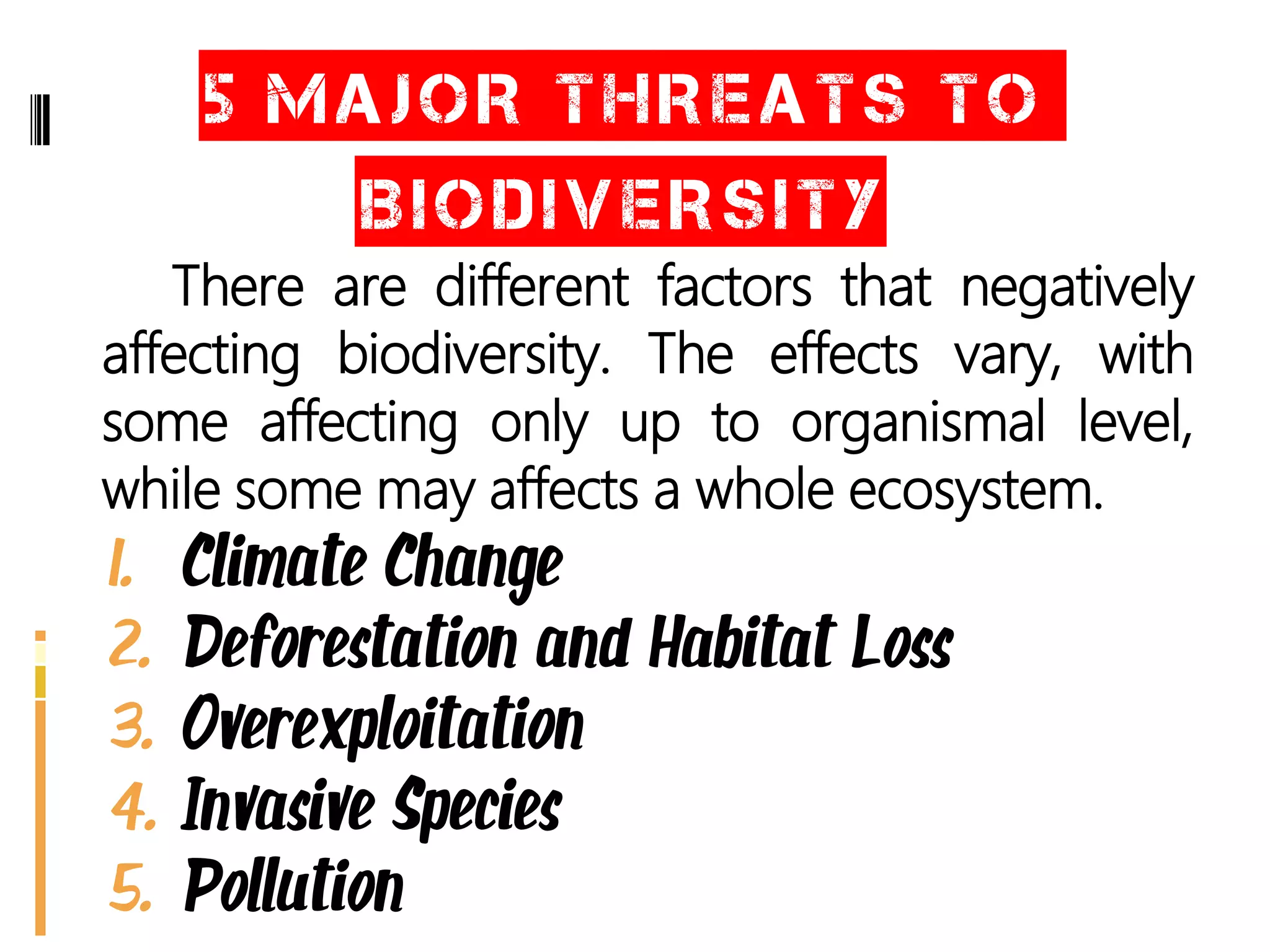 Sts group-2-biodiversity | PDF