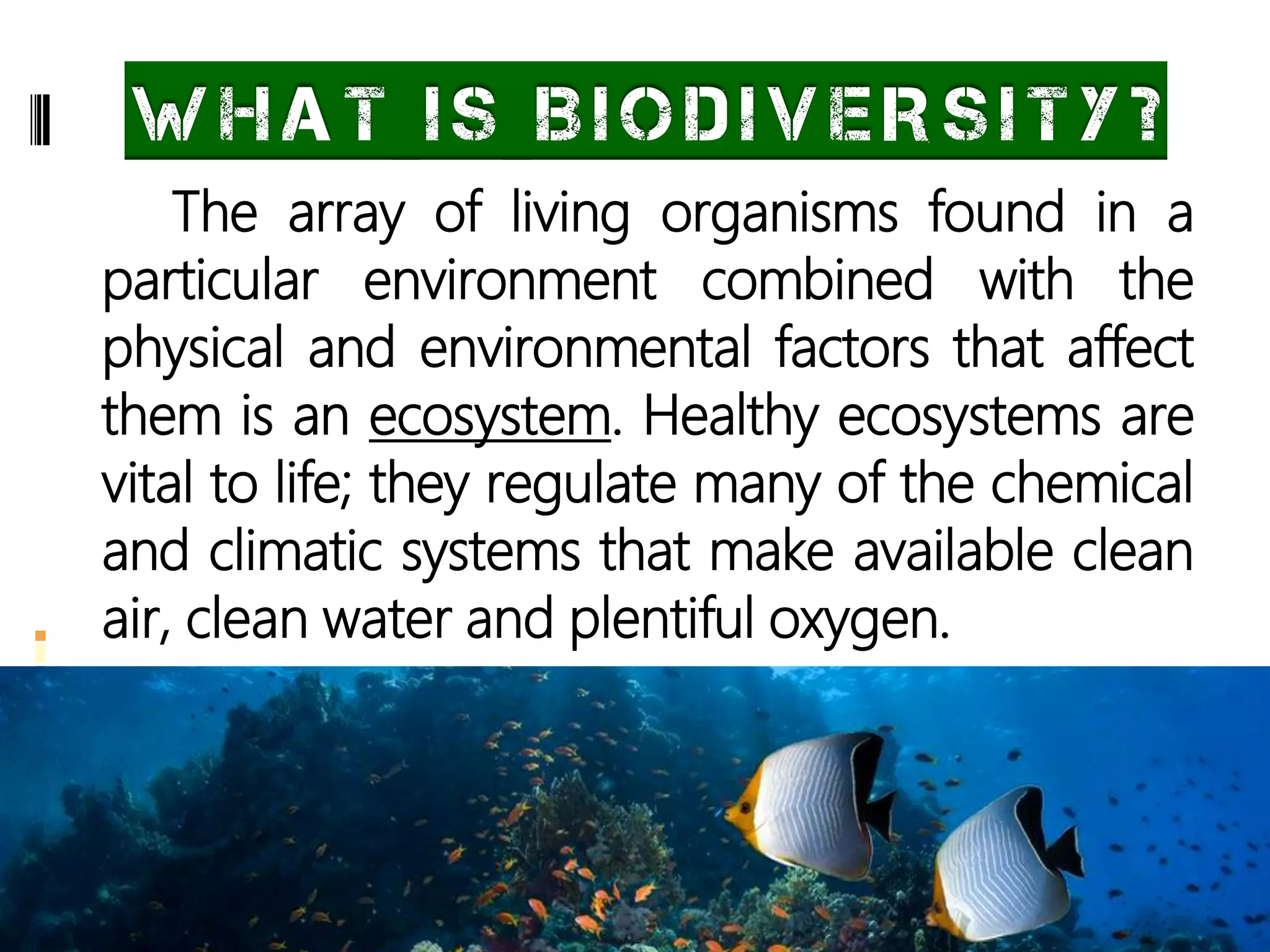 Sts group-2-biodiversity | PDF