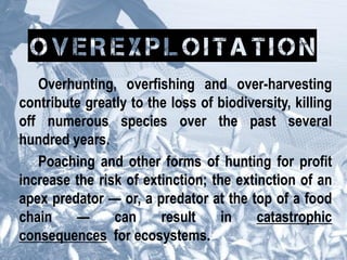 Sts group-2-biodiversity | PDF