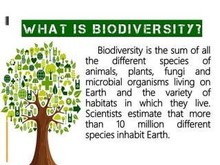 Sts group-2-biodiversity | PDF