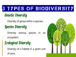 BIODIVERSITY AND TYPES OF BIODIVERSITY LEVELS OF, 55% OFF