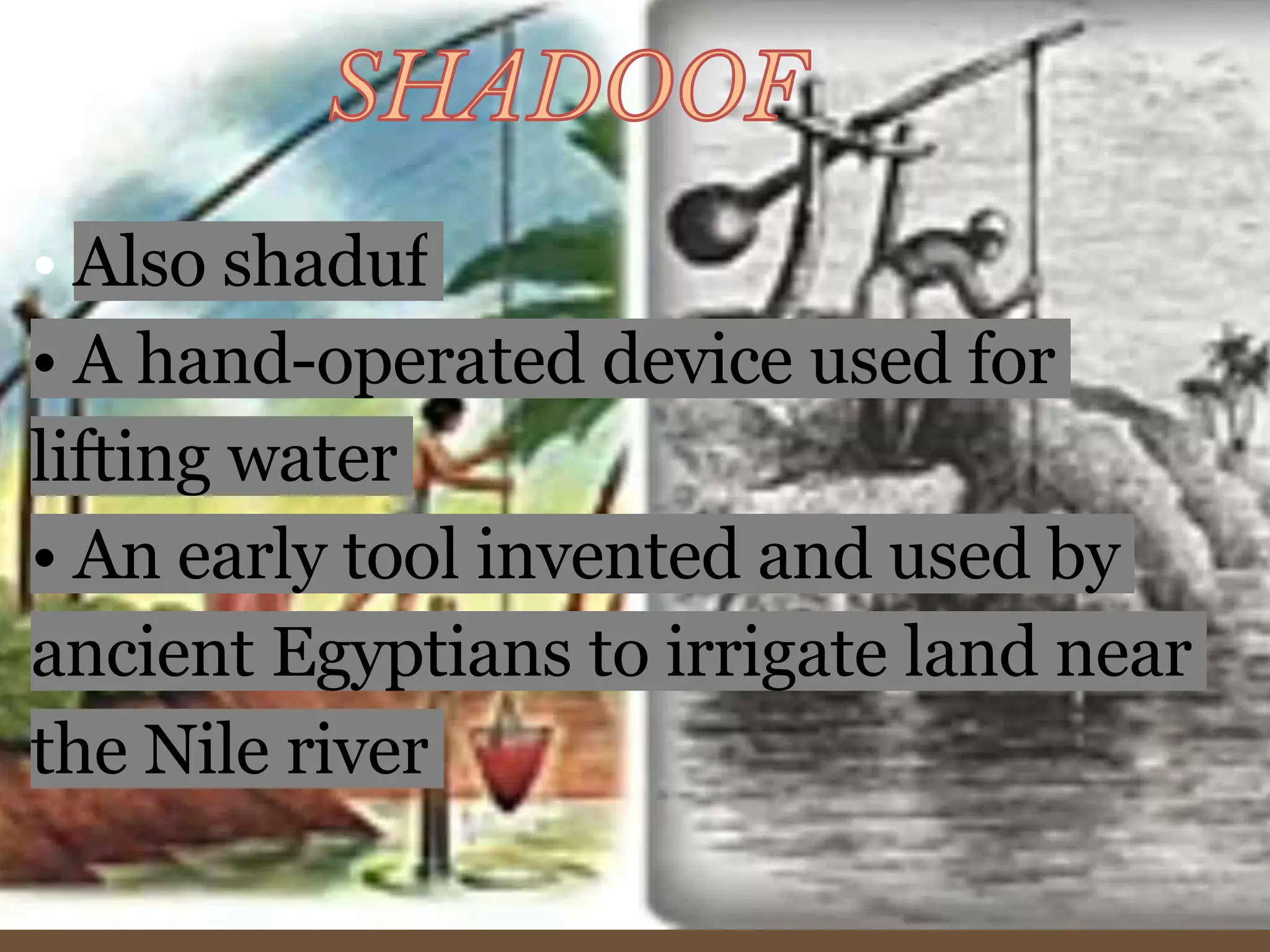 STS-REPORTING-1 (1).pptx