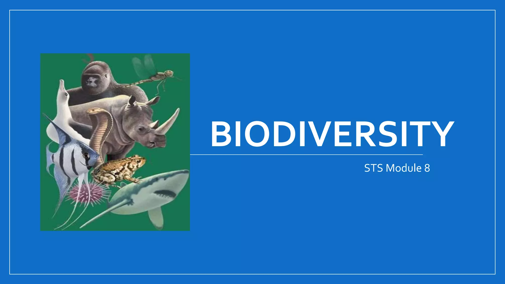 STS 8-Biodiversity.pptx