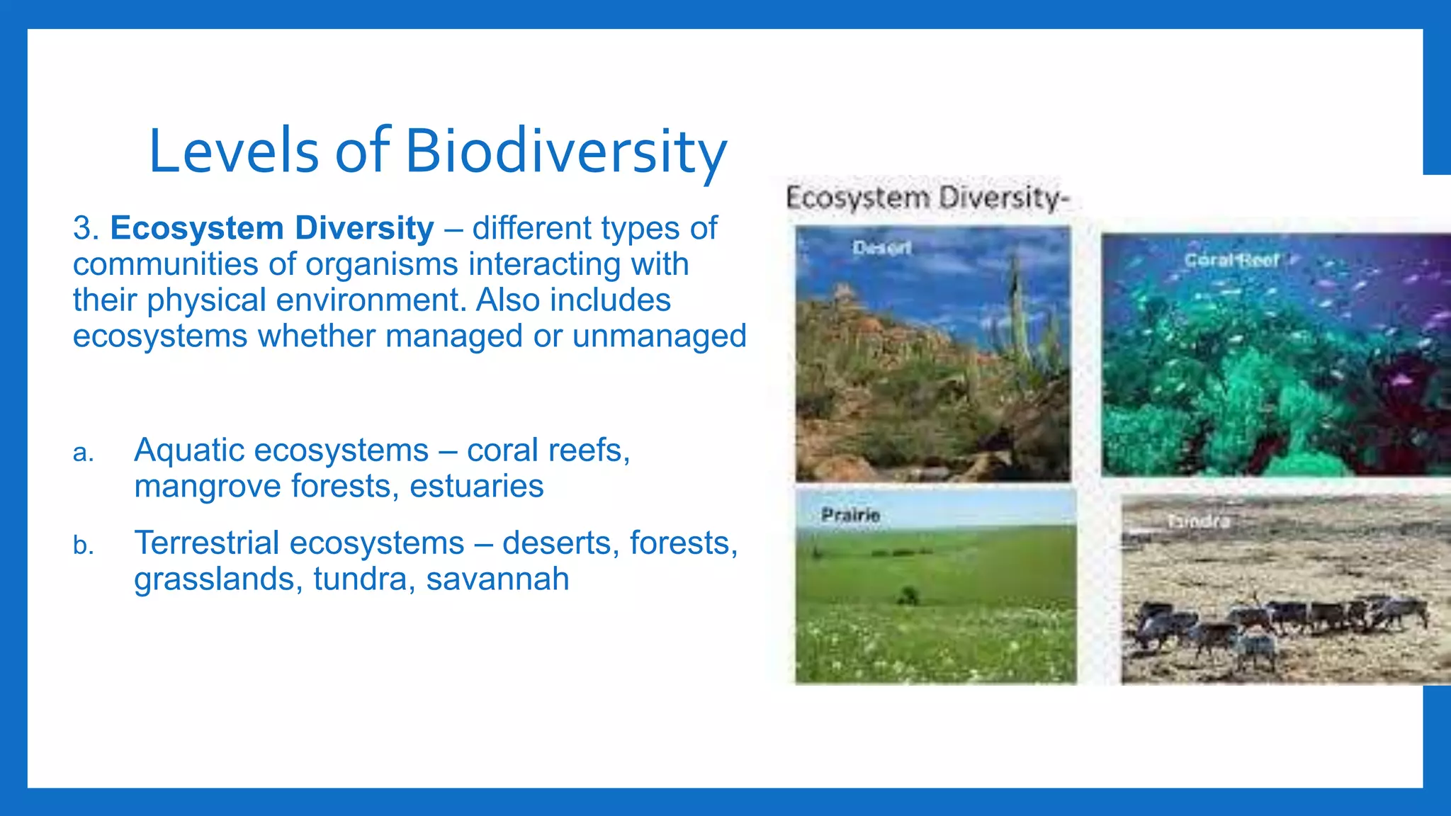 STS 8-Biodiversity.pptx