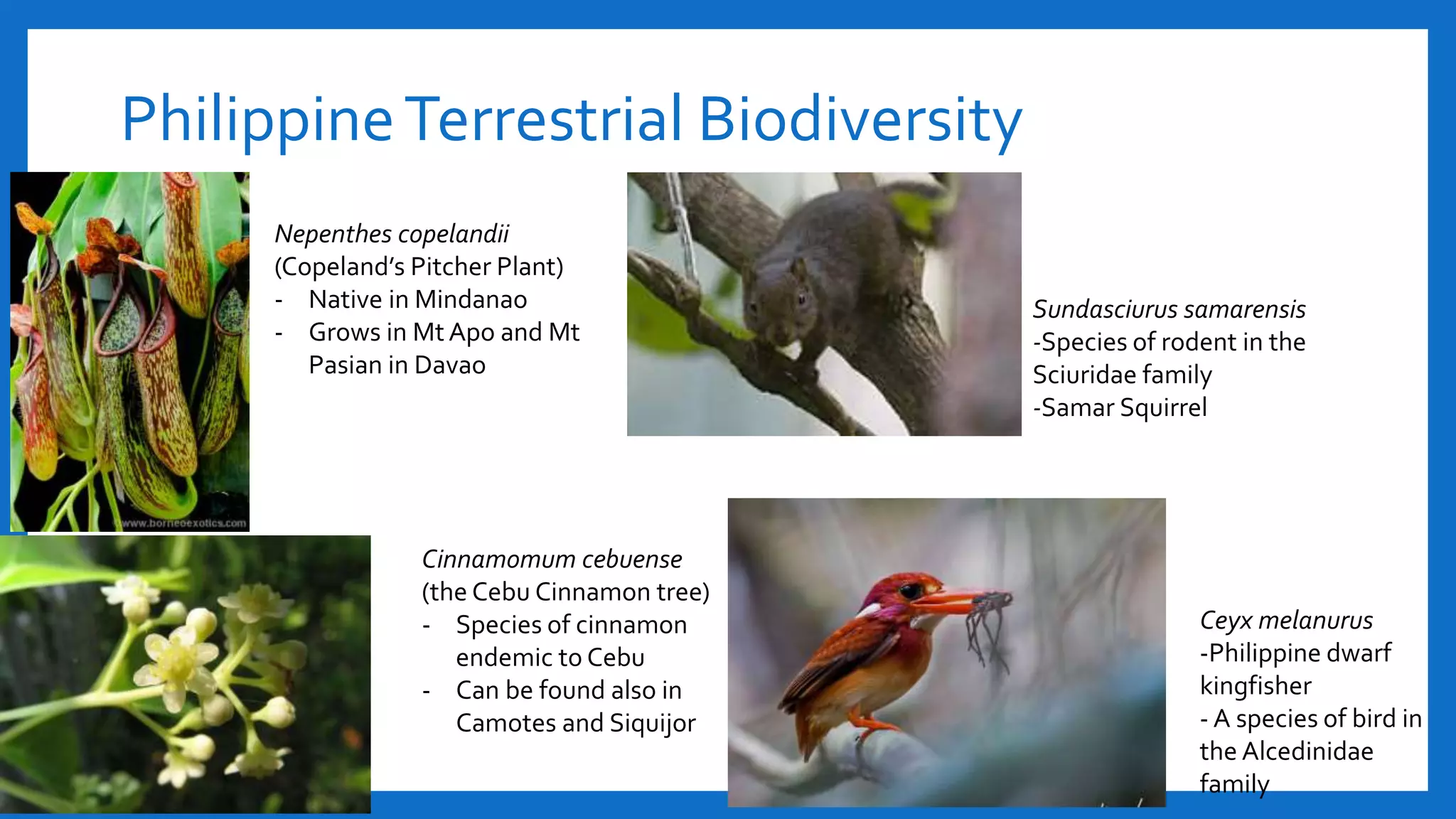 STS 8-Biodiversity.pptx