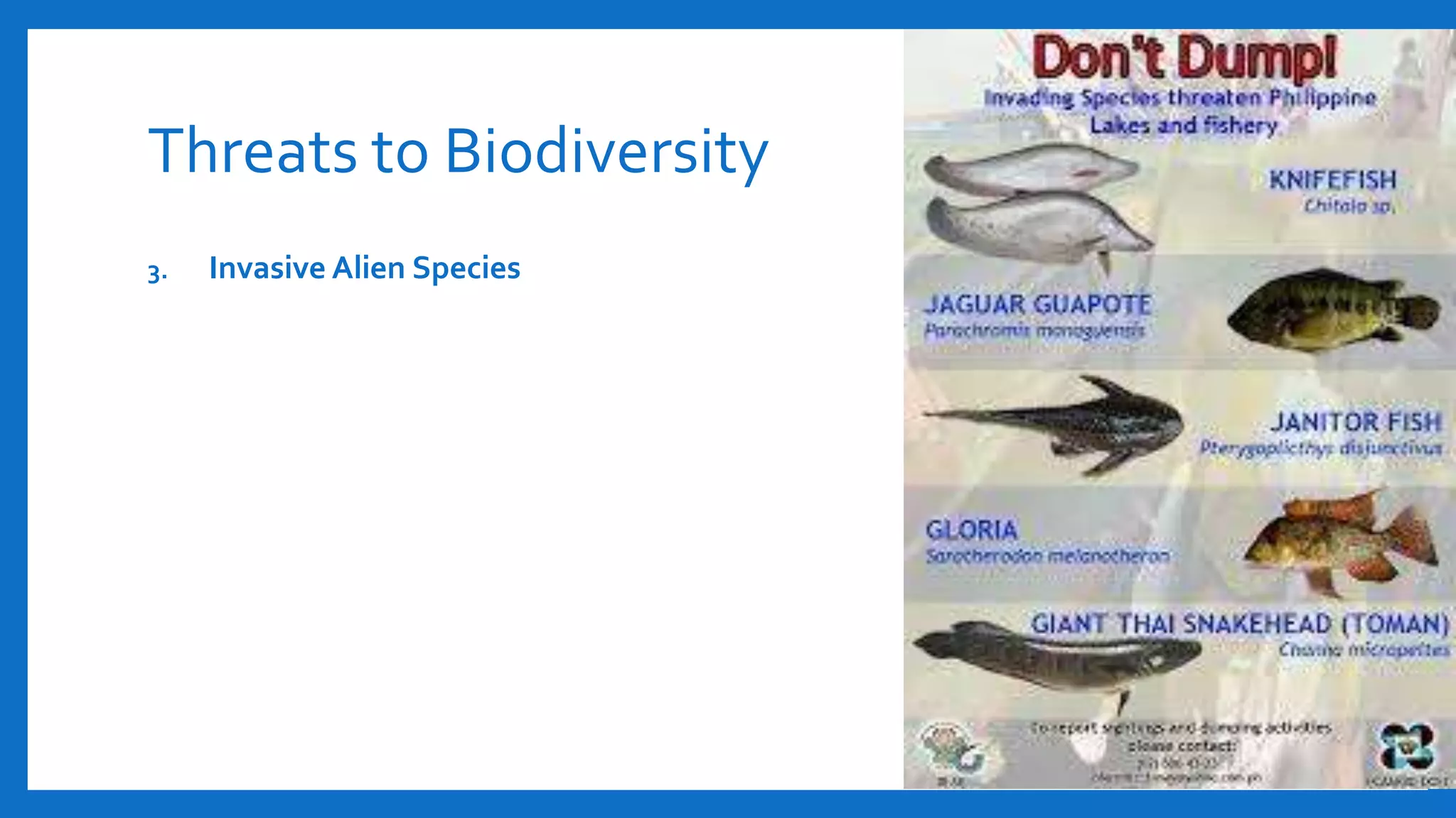 STS 8-Biodiversity.pptx