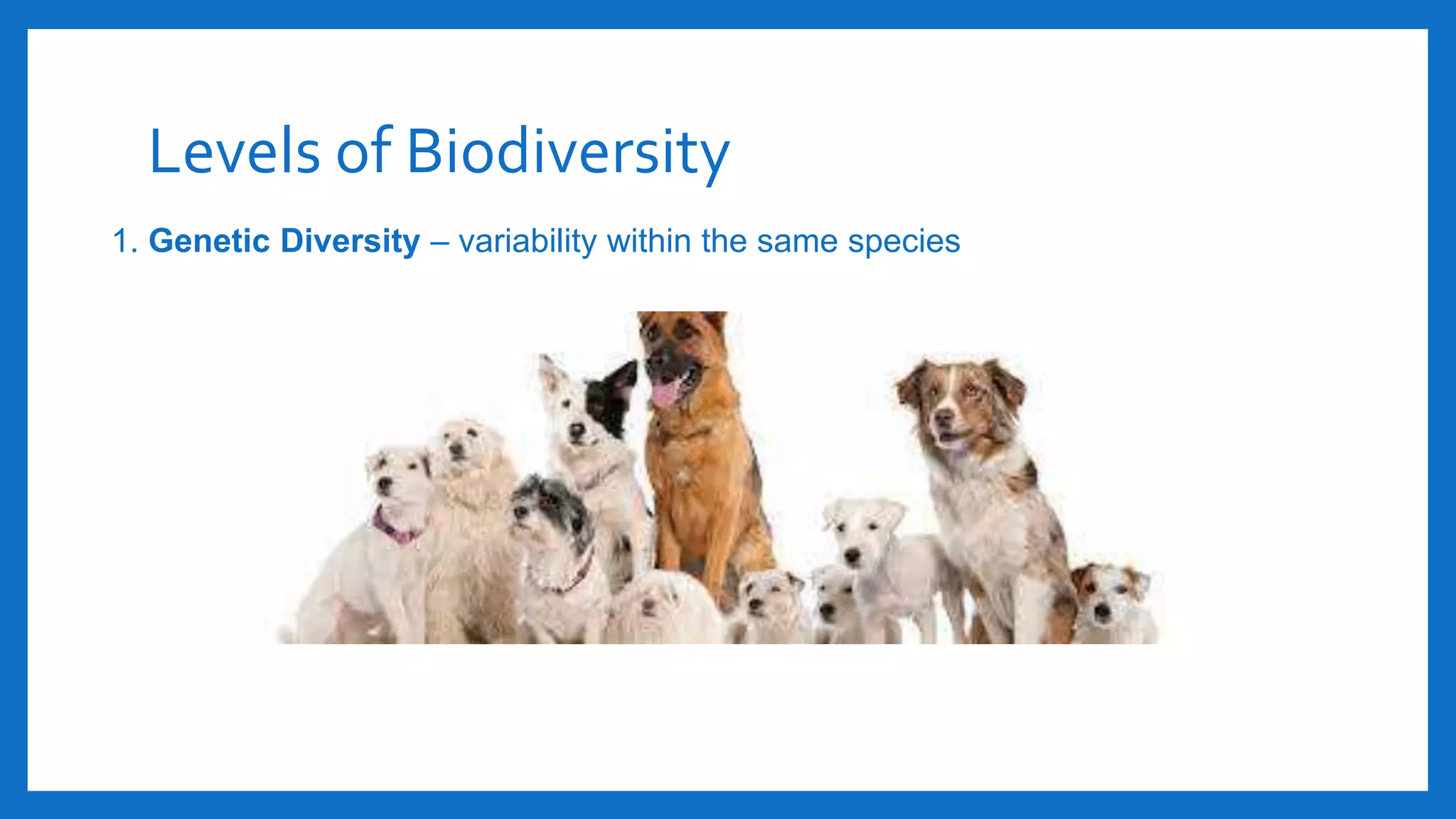 STS 8-Biodiversity.pptx