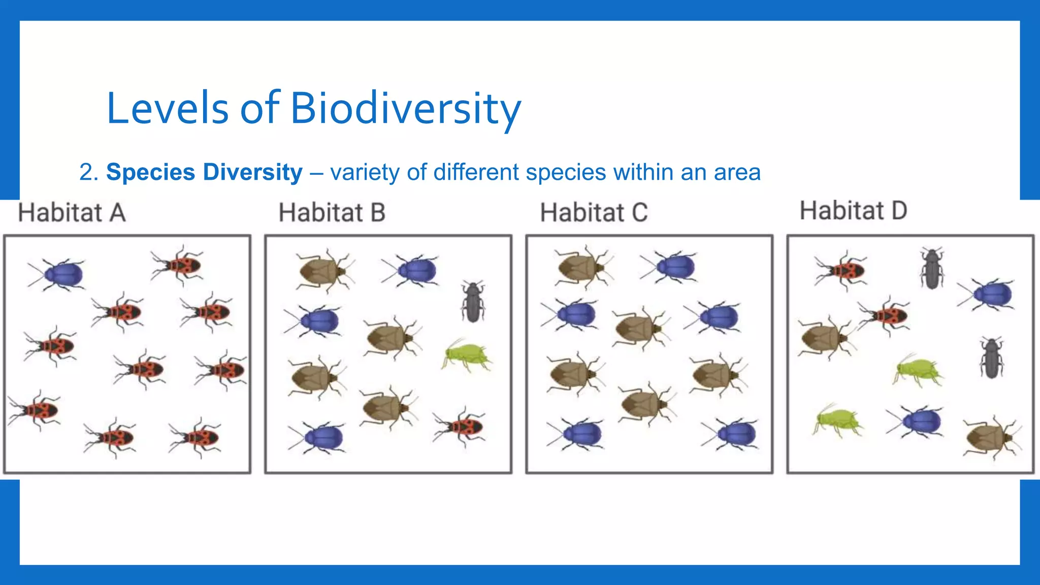 STS 8-Biodiversity.pptx