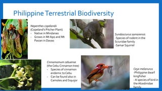 STS 8-Biodiversity.pptx