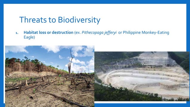 STS 8-Biodiversity.pptx | Environmental Services Industry | Industries