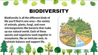 STS GROUP 4 ENVIRONMENTAL AWARENESS.pptx