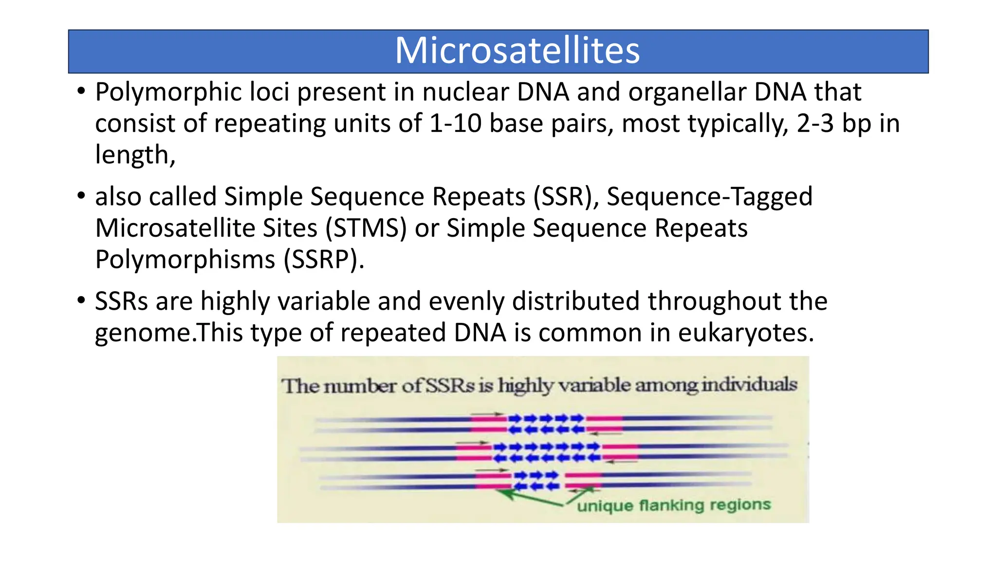 An introduction on sequence tagged site mapping | PPTX