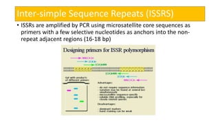 An introduction on sequence tagged site mapping | PPTX